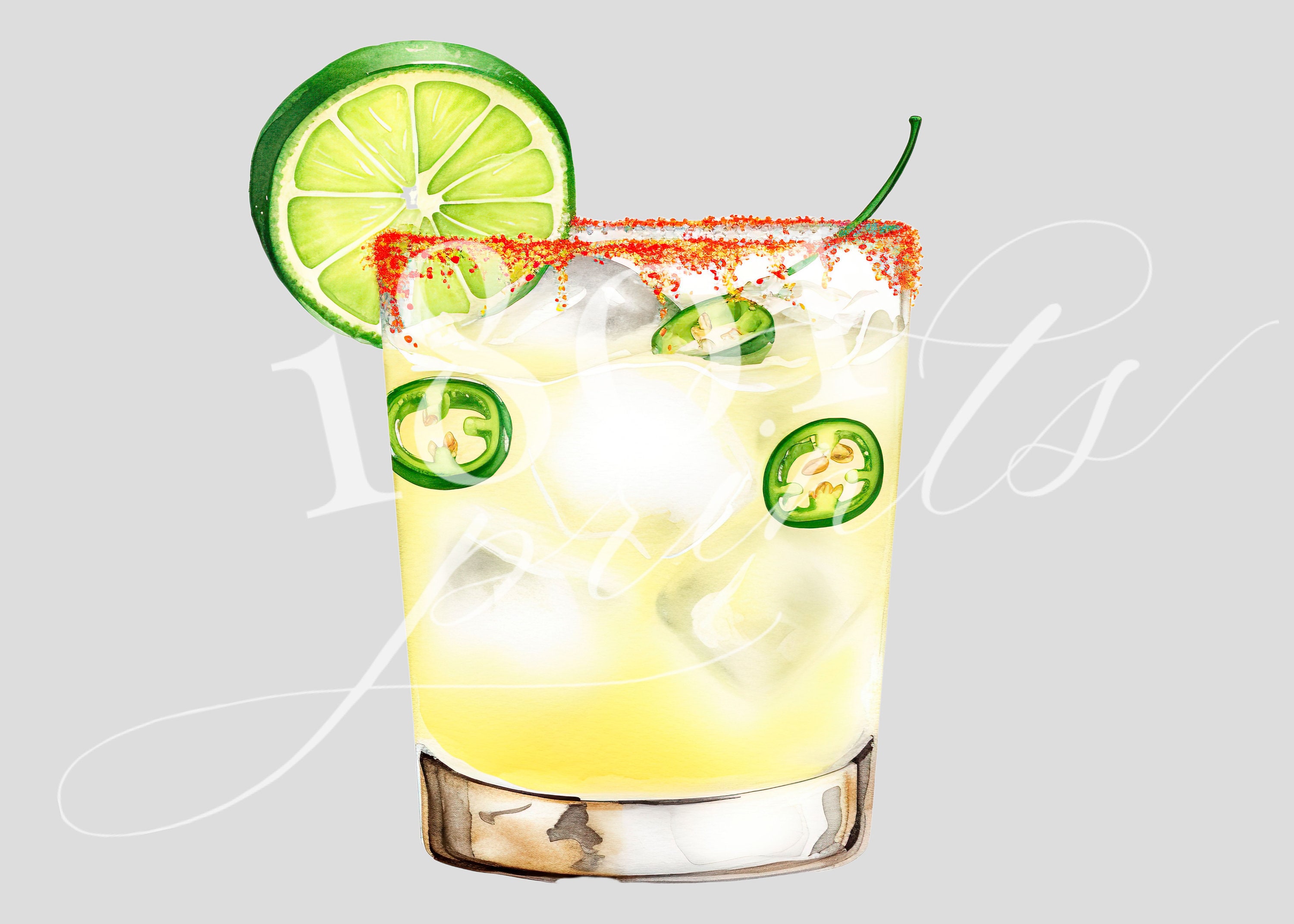 Margarita Illustration