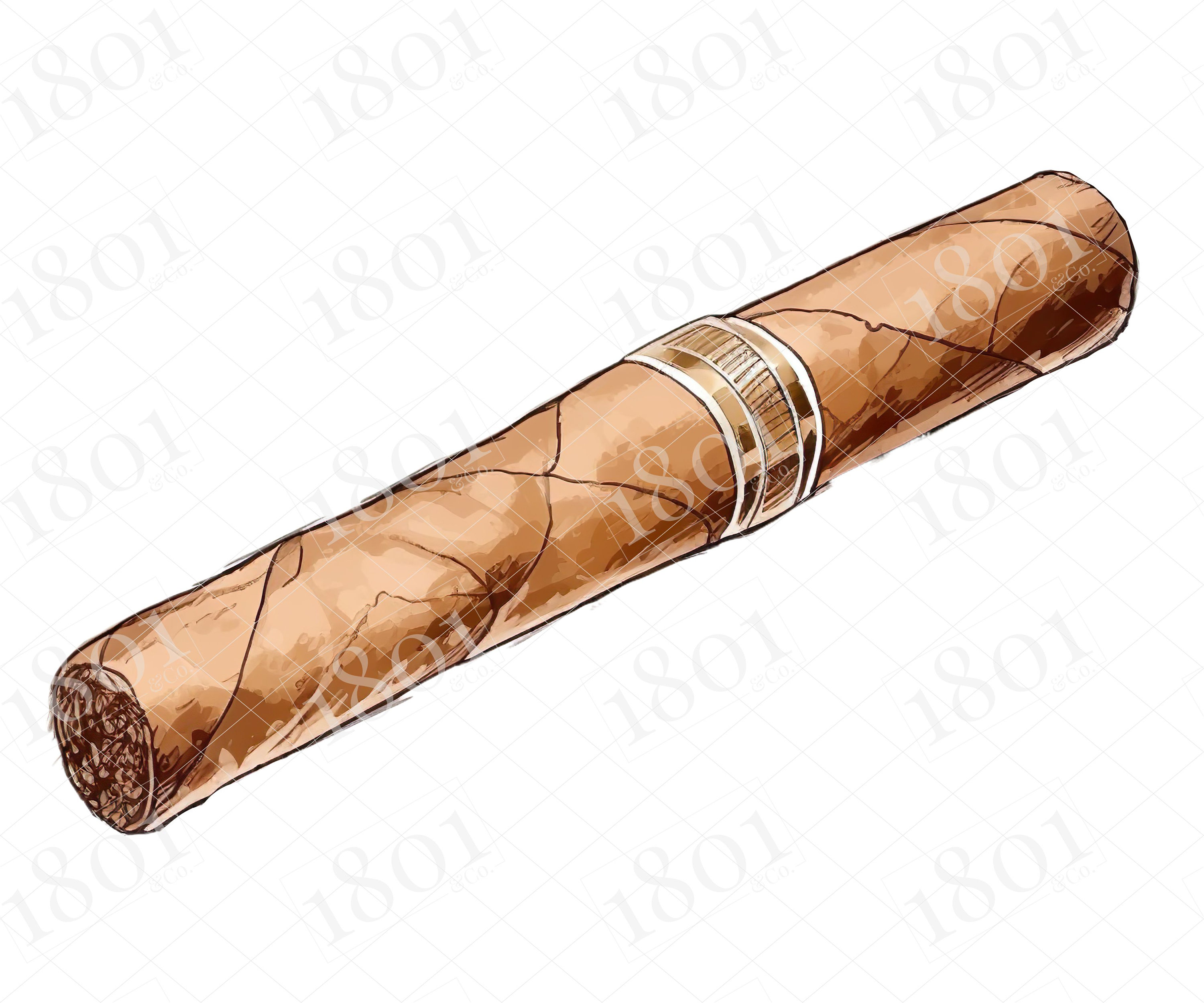 Hand-drawn Cigar Illustration Pack digital Download - Etsy