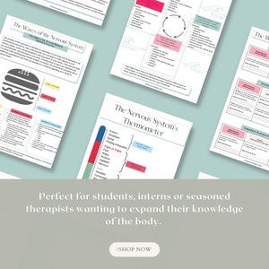 Nervous System Worksheets, Exercises and Visual Aids | Based on ...
