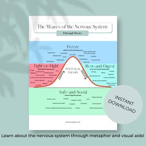 Nervous System Worksheets, Exercises and Visual Aids | Based on ...