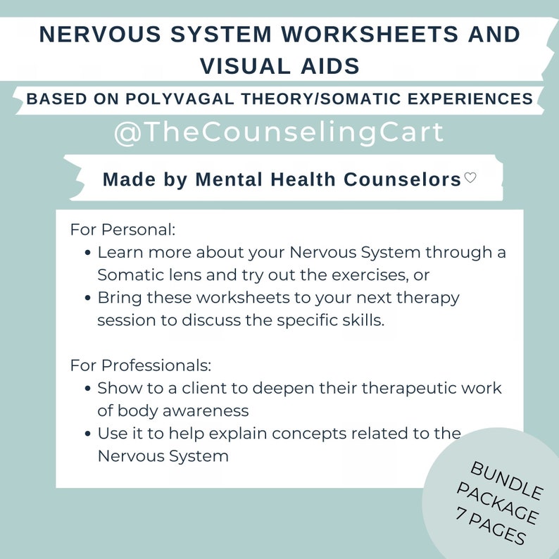 Nervous System Worksheets Exercises and Visual Aids Based - Etsy