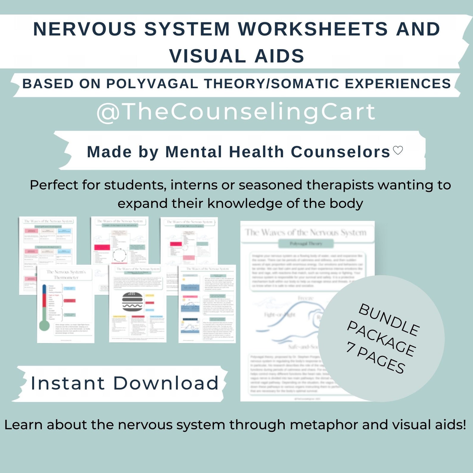 Nervous System Worksheets Exercises and Visual Aids Based - Etsy