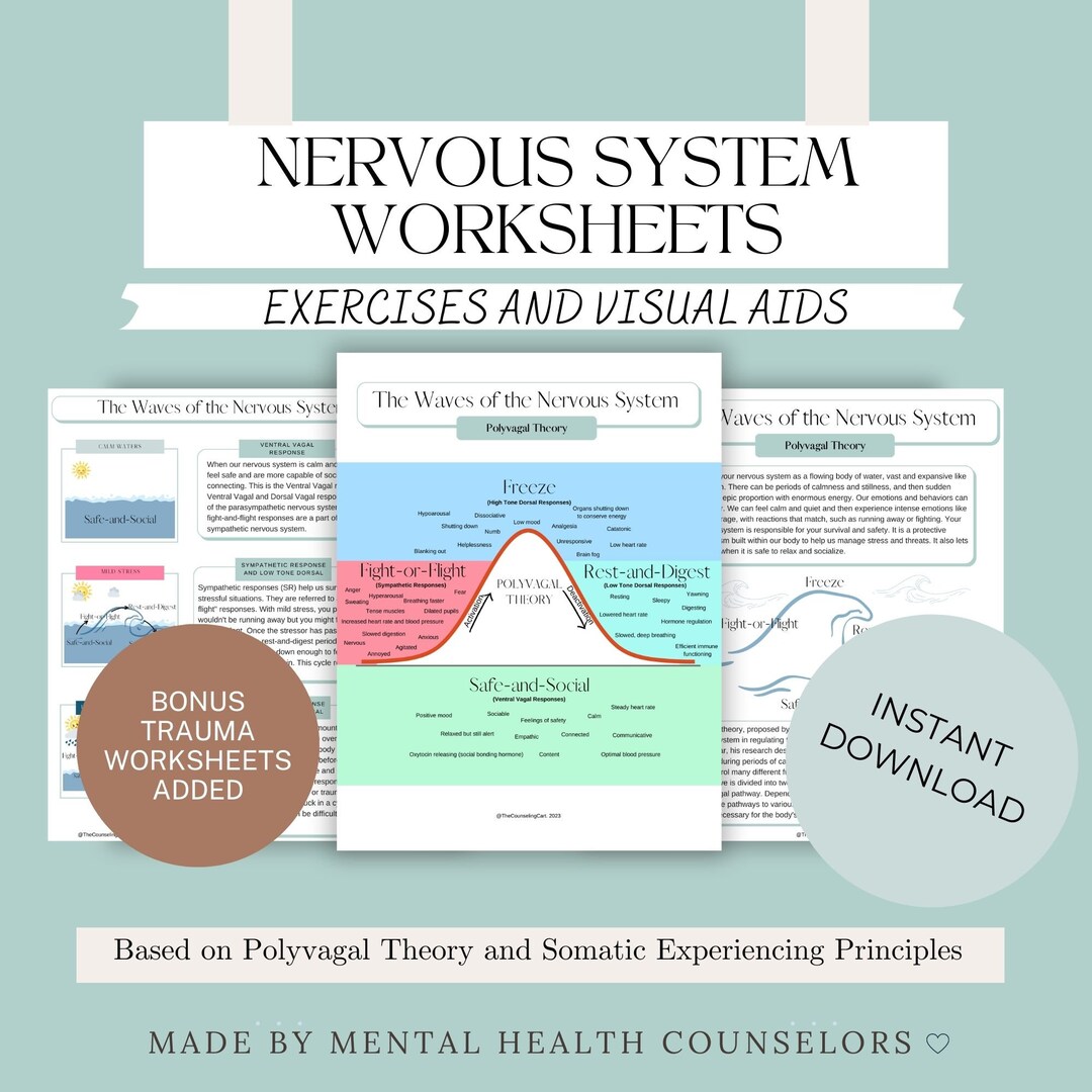 Nervous System Worksheets, Exercises and Visual Aids | Based on ...