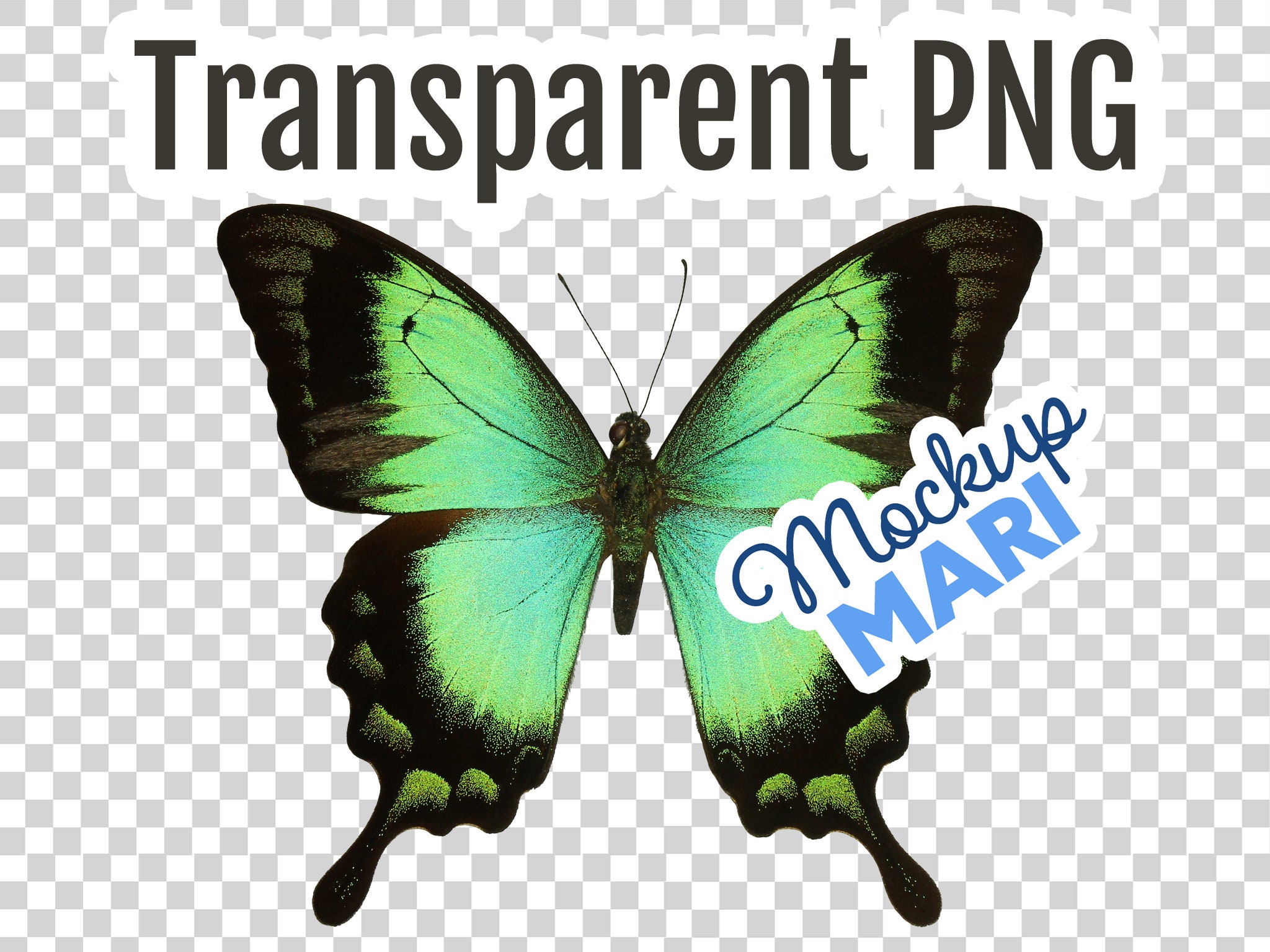 Green Butterfly PNG Transparent Butterfly Clip Art Cutout Butterfly ...