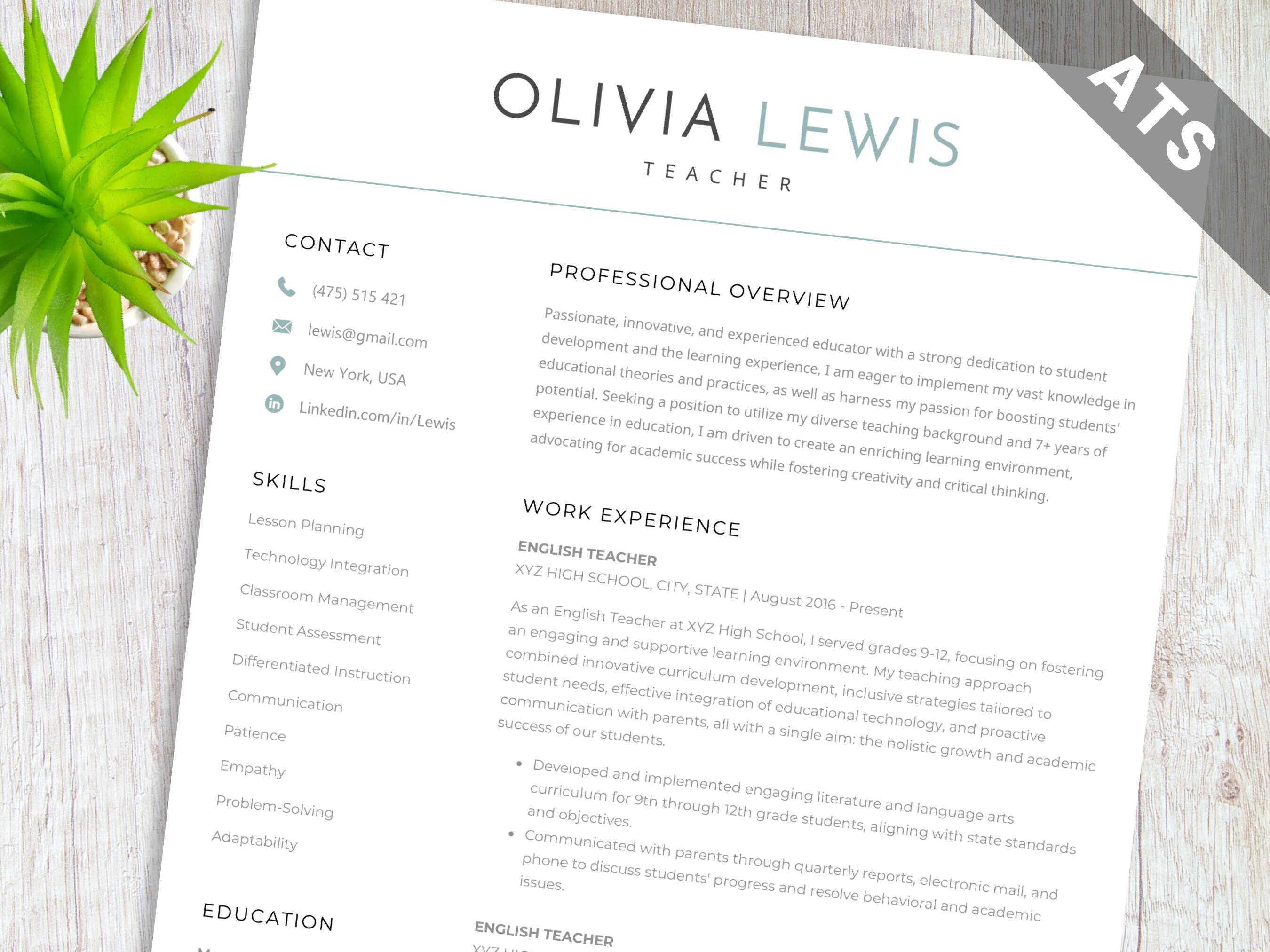 Two Column Resume Template, ATS Friendly, for Sales, Administrators ...