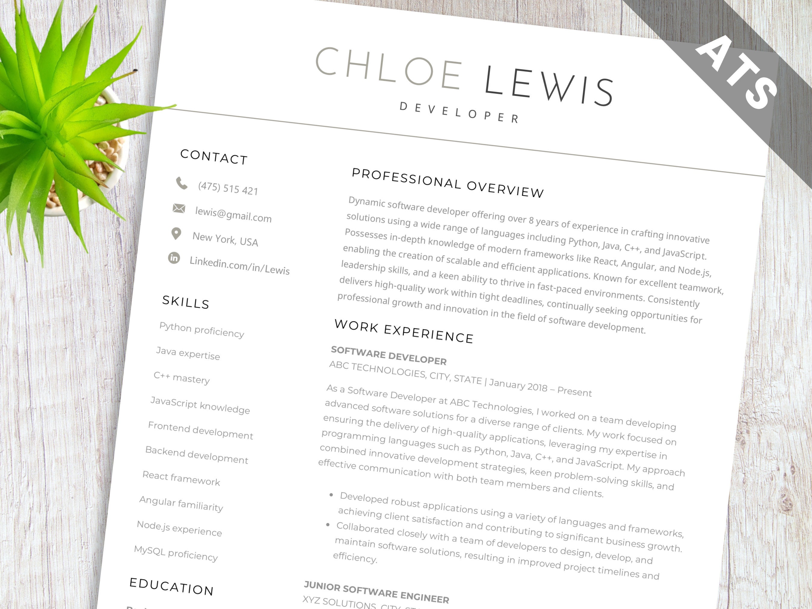 Tech Resume & Developer Resume CV Template - ATS Optimized, for ...