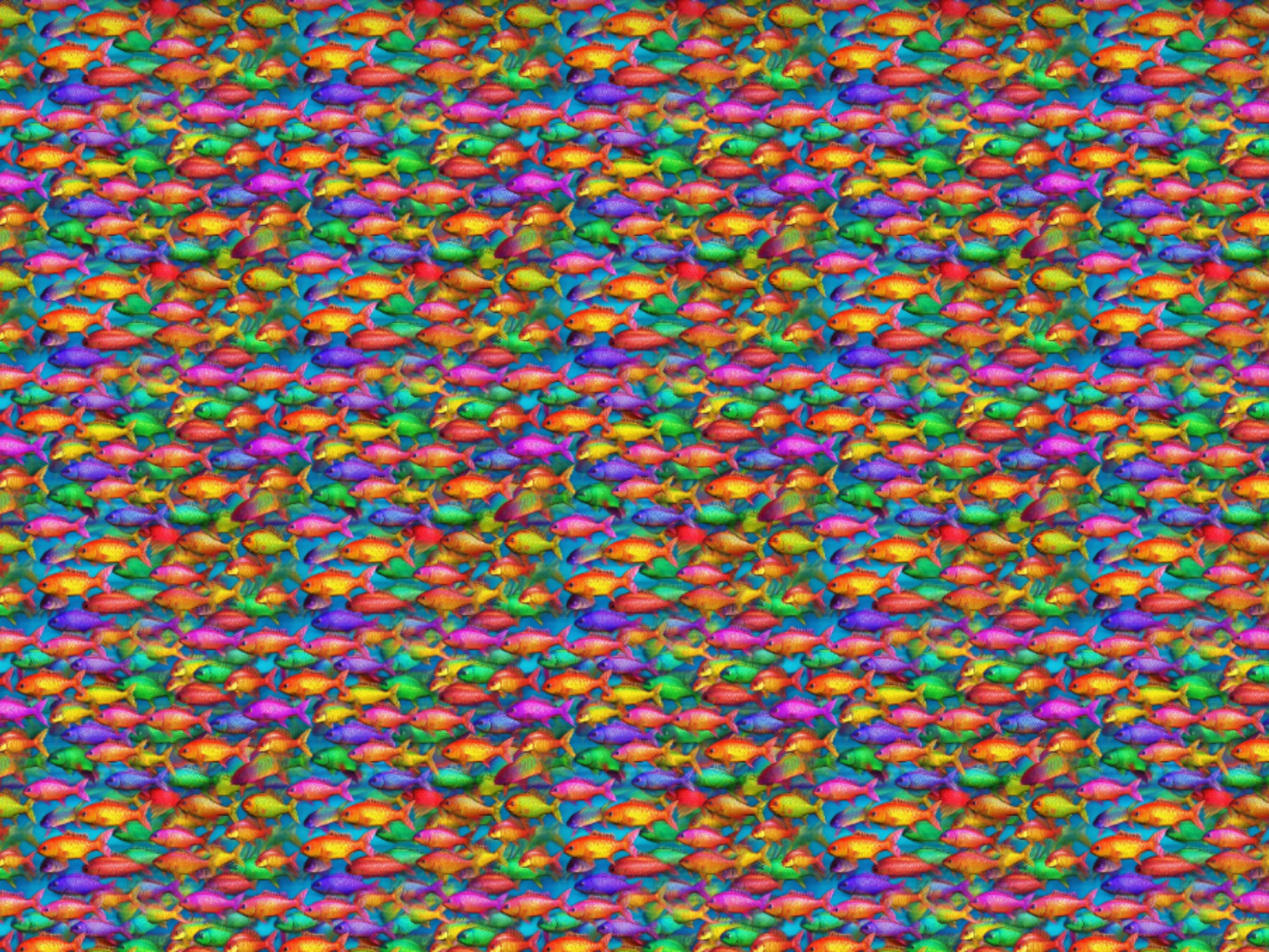 Rainbow Fish Digital Art | Seamless Digital Pattern | Digital ...