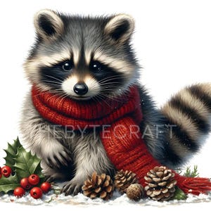 Winter Raccoon JPG Christmas Watercolor Clipart Christmas Clipart ...