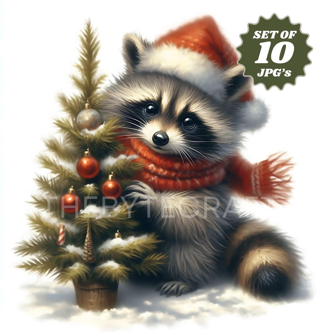 Winter Raccoon Watercolor Clipart: Farmhouse Christmas JPG (digital ...