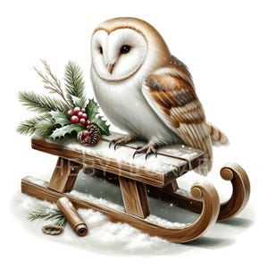 Winter Christmas Owl, Christmas Watercolor Clipart, Christmas Clipart ...