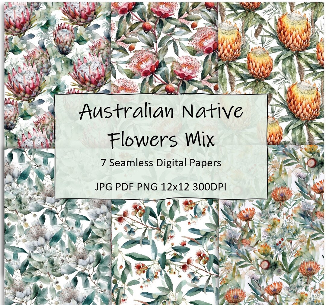 Australian Native Flower Mix Digital Scrapbook Paper, Digital Design ...