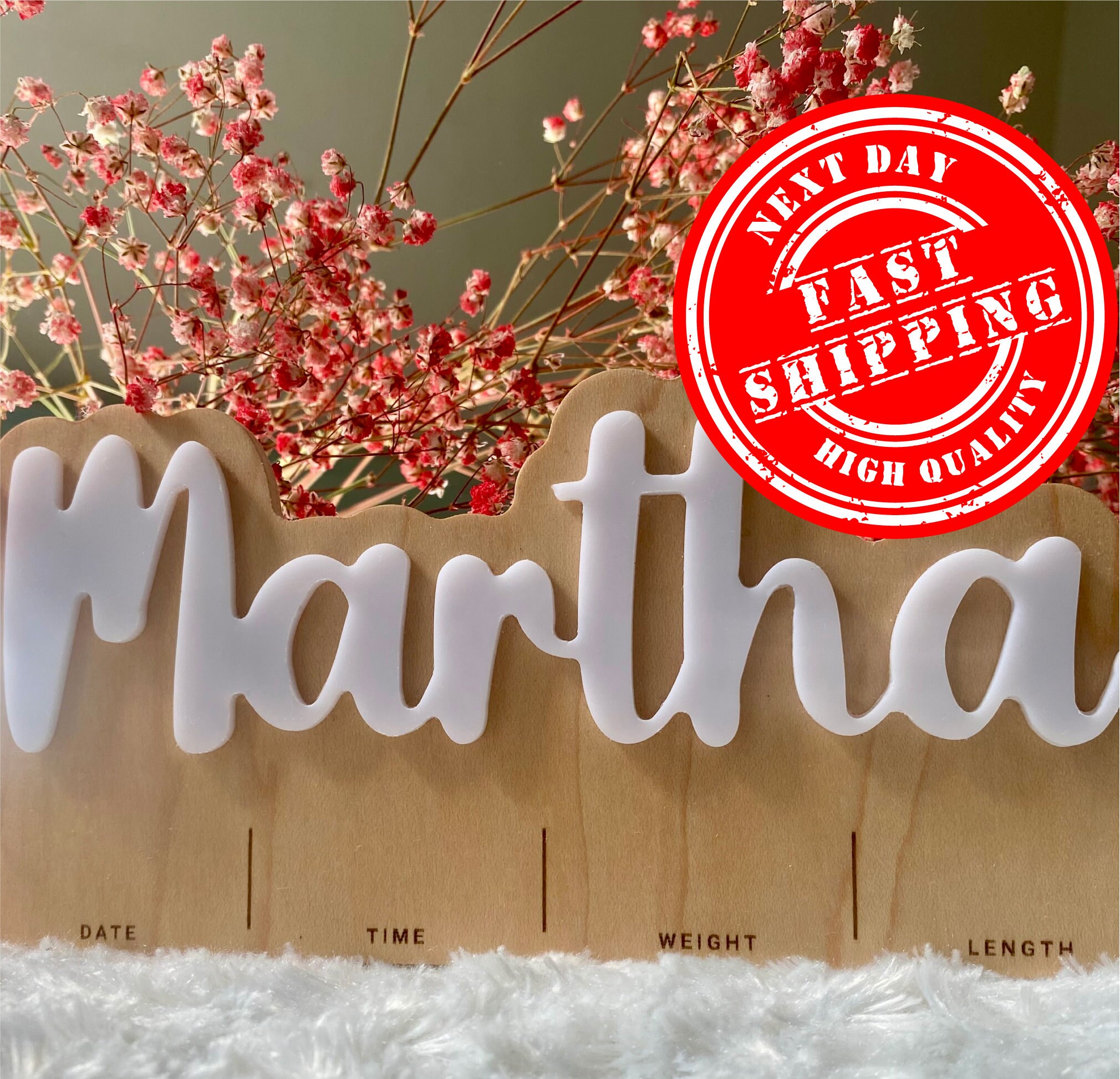 Wooden Monthly Milestone Baby Disc Cards Monthly Milestone Markers for ...