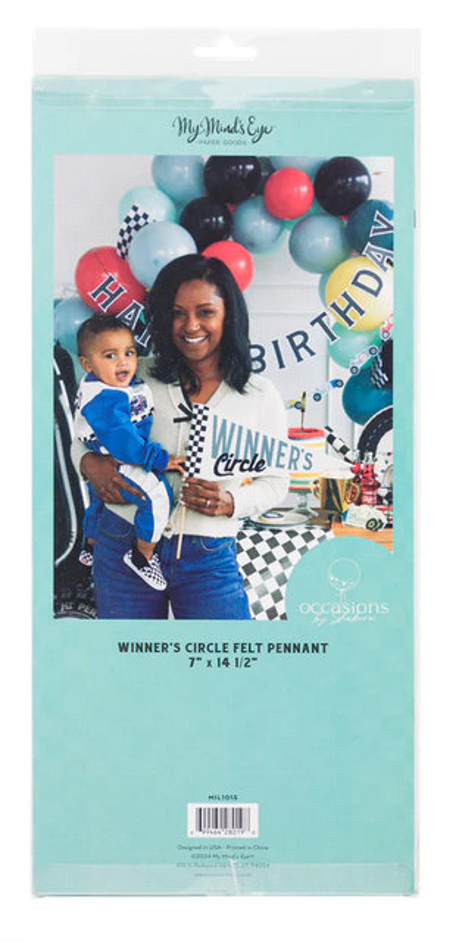 Winner Circle Felt Pennant Race Car Theme Birthday Two Fast Birthday ...