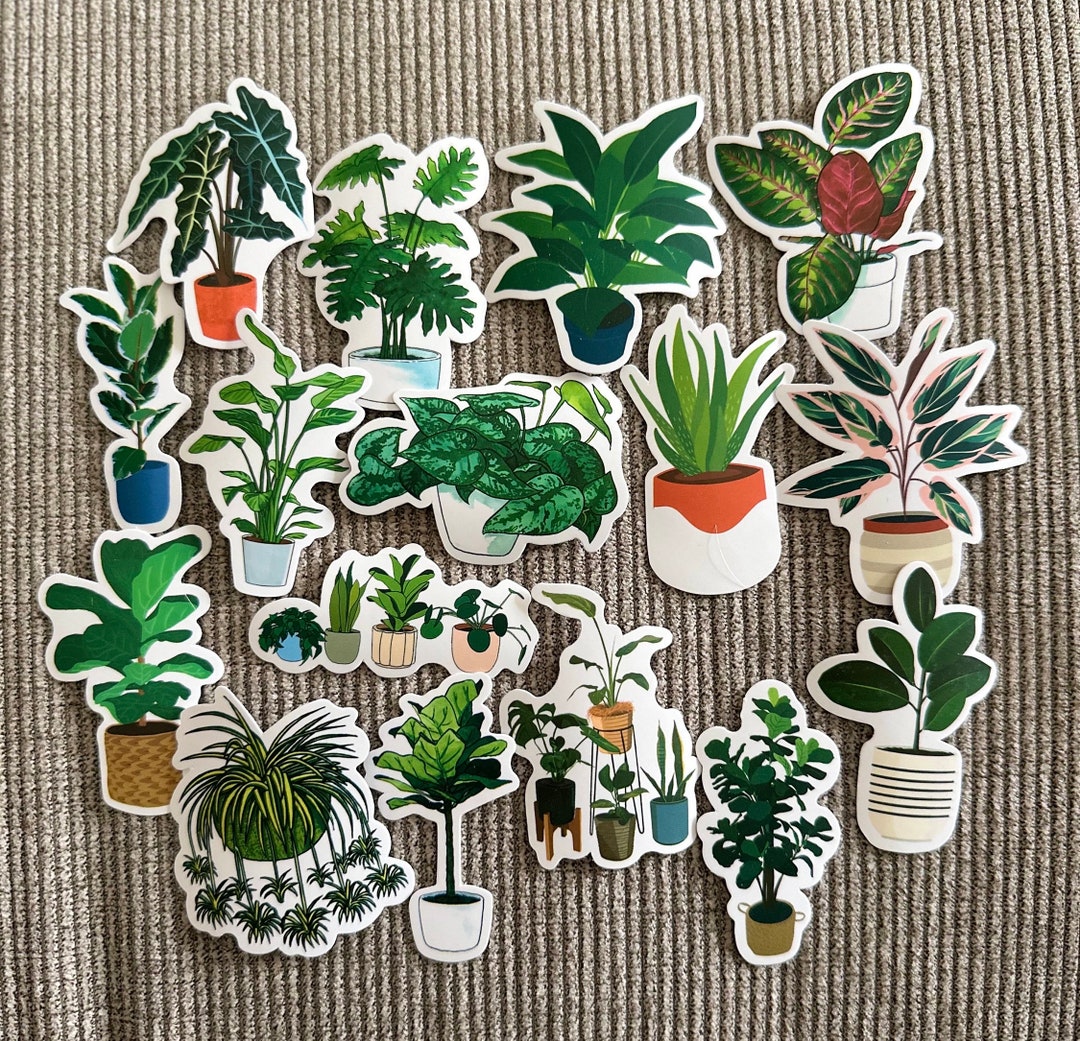 Cute Plant Sticker Decals 10 Sticker Assortment - Etsy