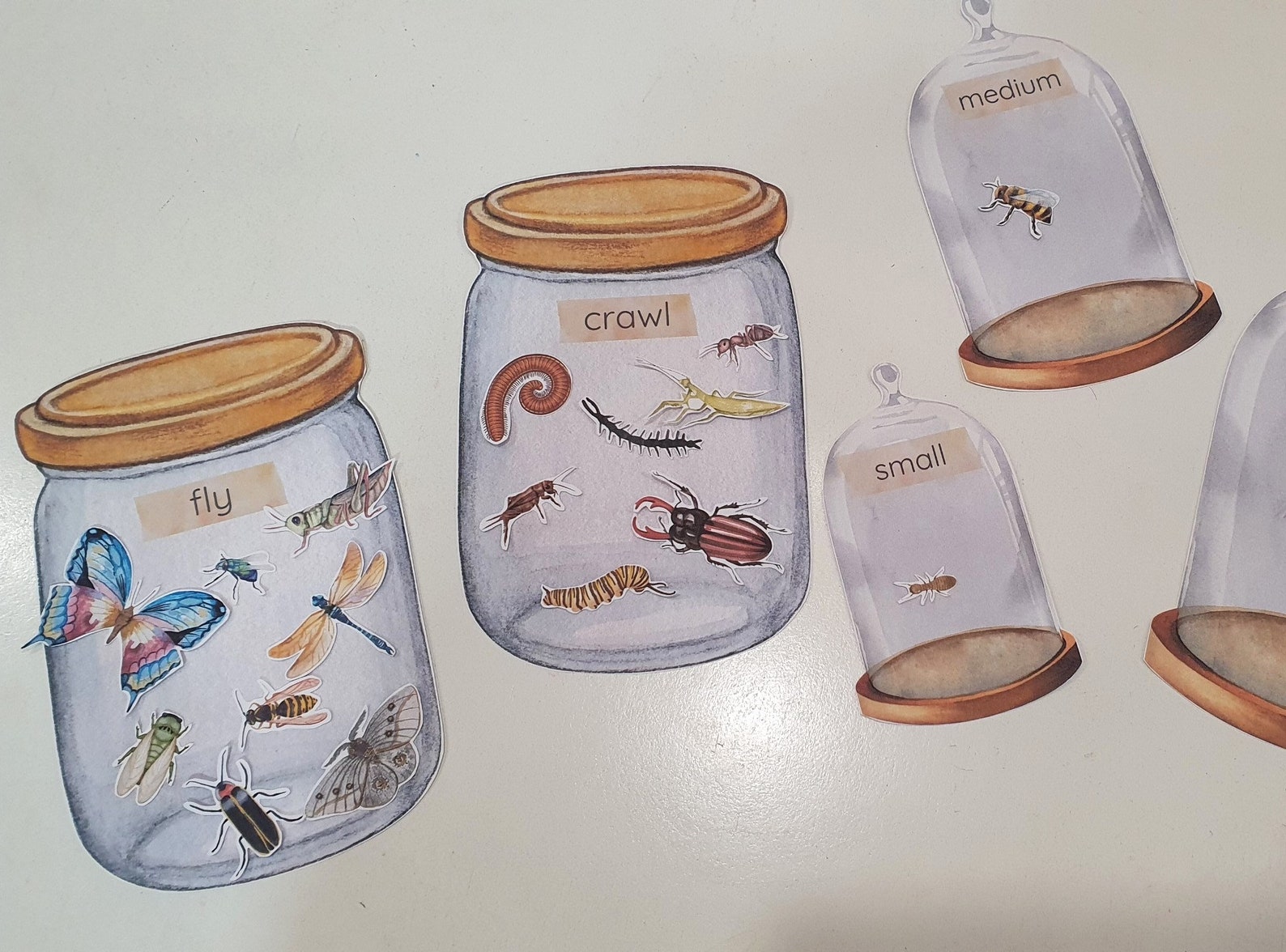 Insect Jar Sorting Games, Insect Size Match, Flying or Crawling Bug ...