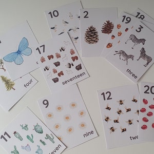Nature Number Flashcards 1-20, Preschool Printables, Homeschool ...
