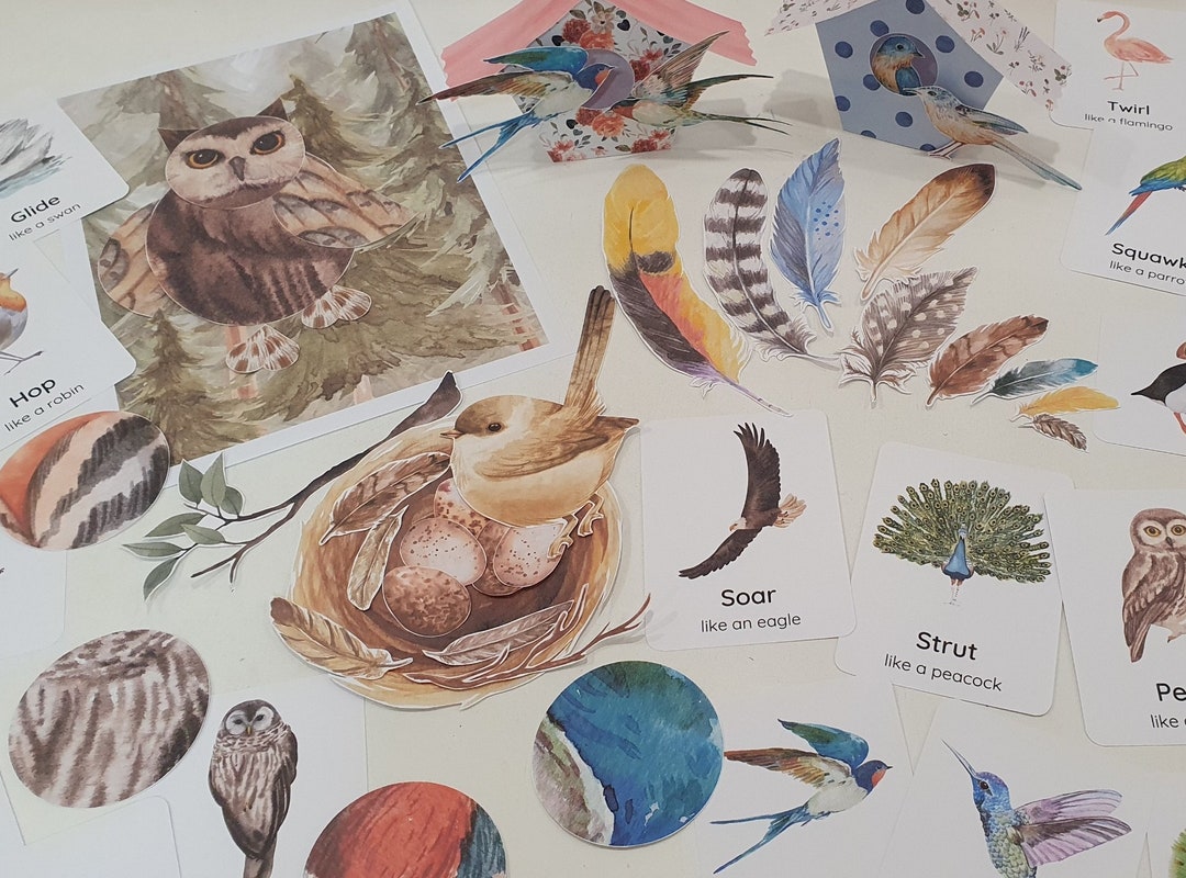 Bird Activity Pack, Bird Movement Cards, Bird Feather Pattern Matching ...