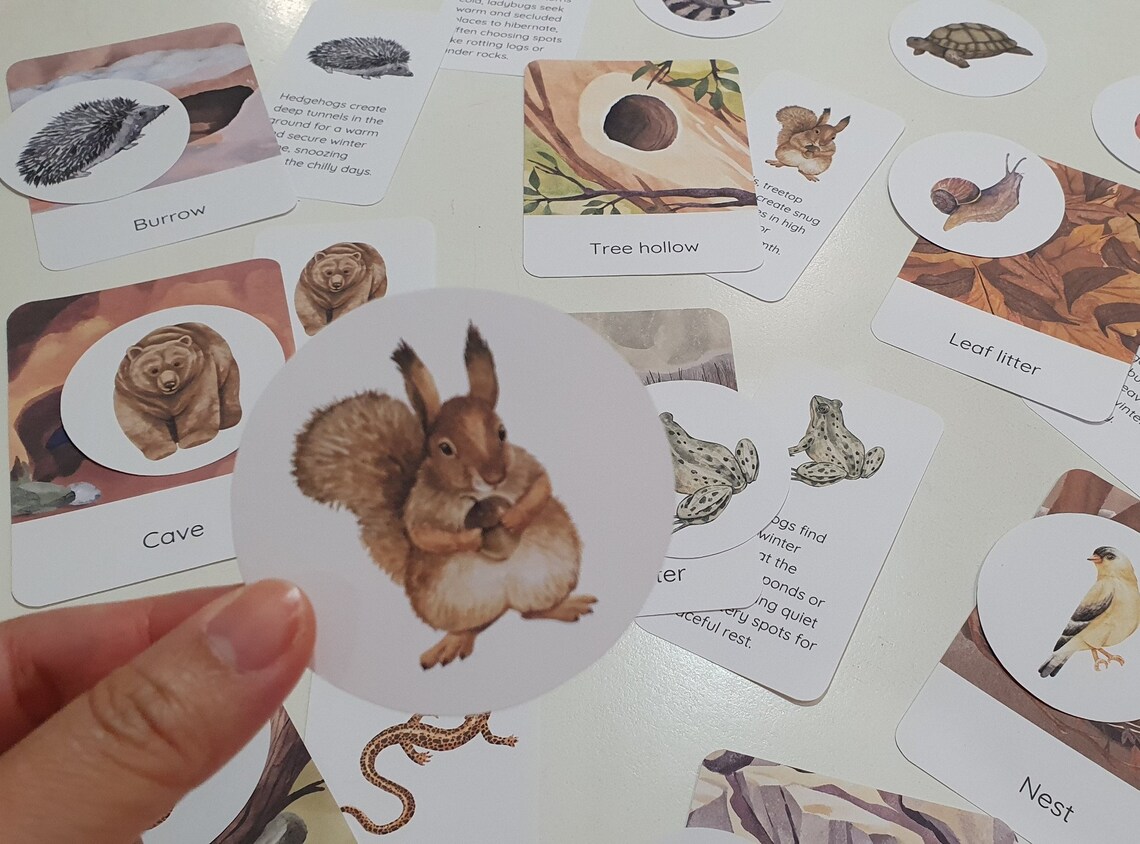 Winter Animal Homes Matching Game, Hibernation Mini Study, Sleeping ...