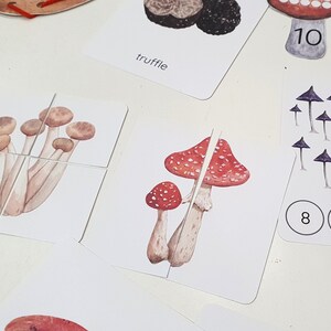 Mushroom Activity Pack, Mushroom Flashcards, Montessori Autumn ...