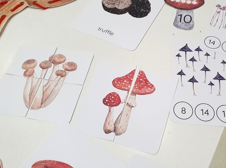 Mushroom Activity Pack, Mushroom Flashcards, Montessori Autumn ...