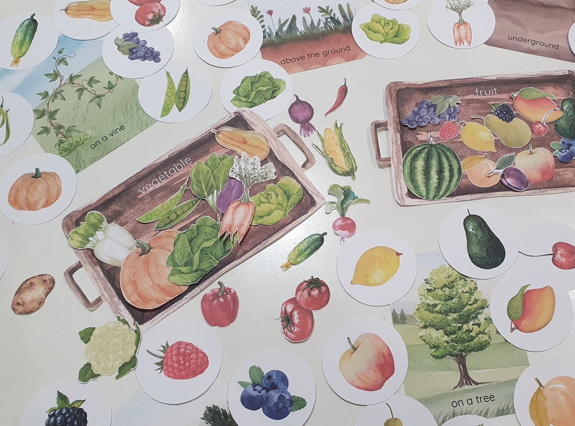 Fruit and Vegetable Sorting Games, Farm Harvest Sorting Games ...