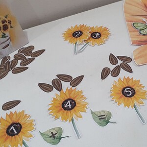 Sunflower Activity Pack, Sunflower Unit, Sunflower Morning Basket ...