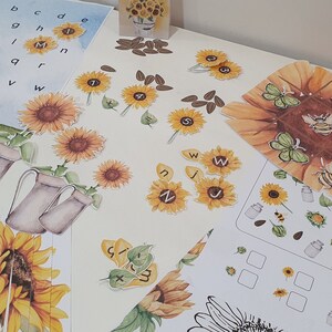 Sunflower Activity Pack, Sunflower Unit, Sunflower Morning Basket ...