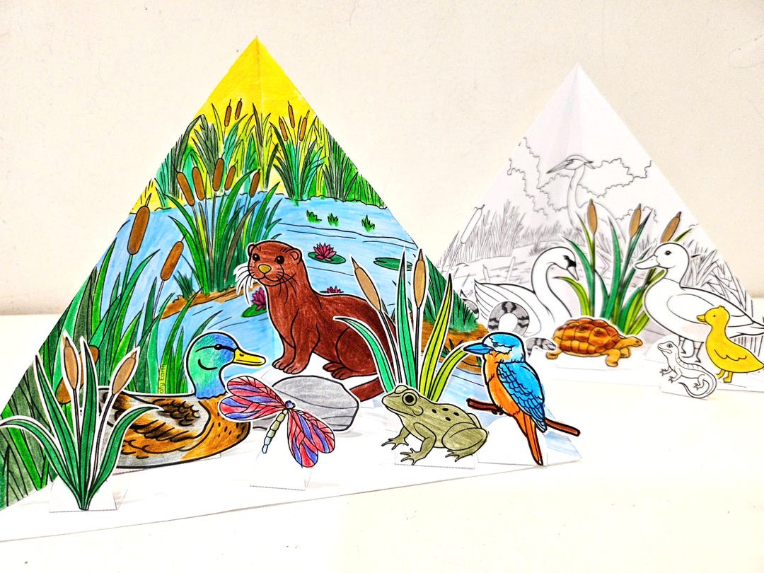 Pond Habitat Coloring Triorama, Wetland Scene, DIY Kids Habitat Crafts ...