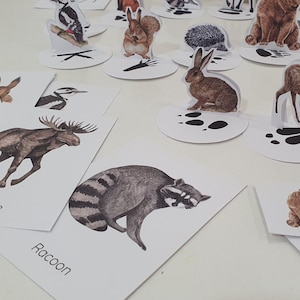 Woodland Animal Track Matching Game, Animal Tracks Cards, Forest Animal ...