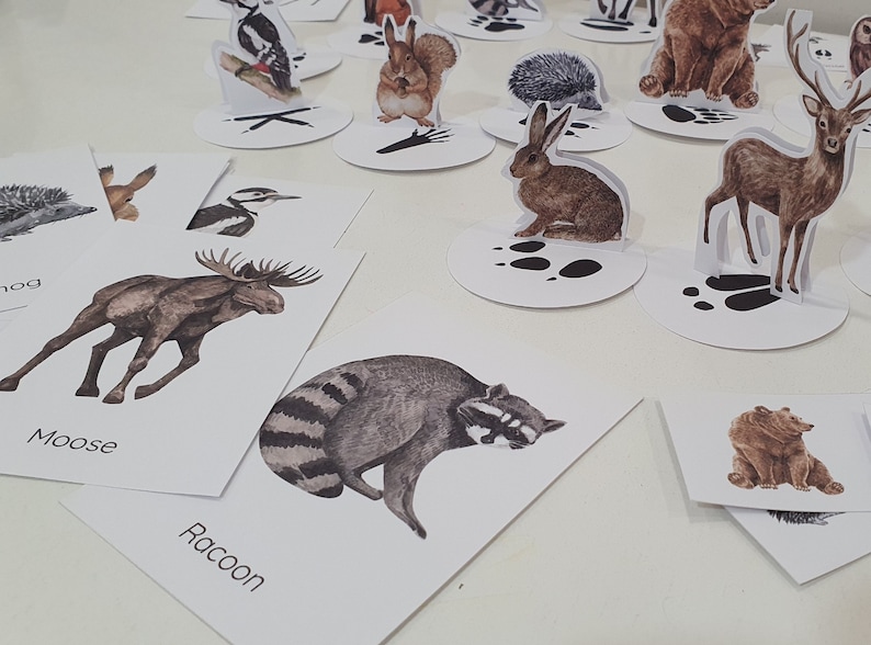 Woodland Animal Track Matching Game, Animal Tracks Cards, Forest Animal ...