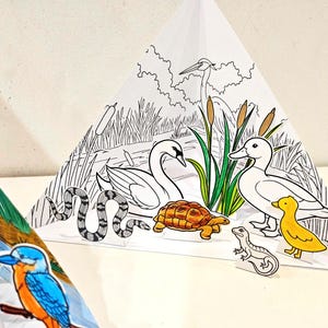 Pond Habitat Coloring Triorama, Wetland Scene, DIY Kids Habitat Crafts ...