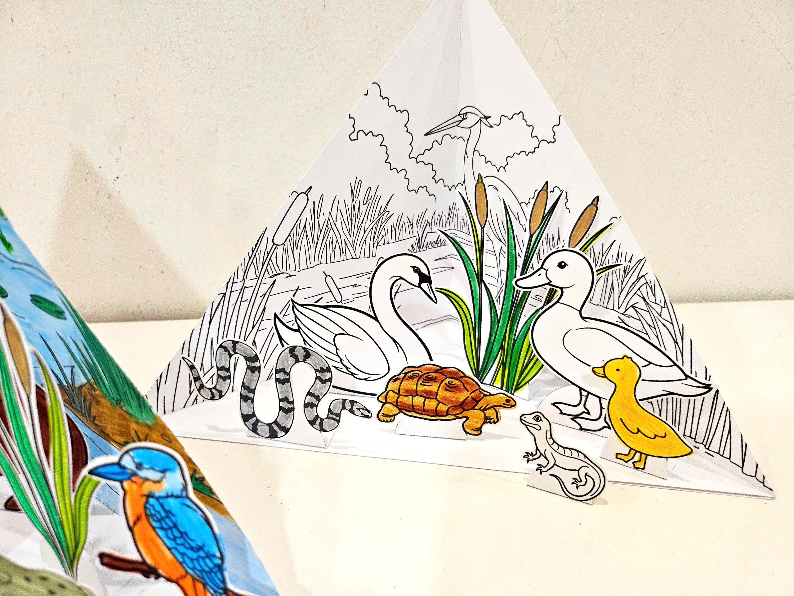 Pond Habitat Coloring Triorama, Wetland Scene, DIY Kids Habitat Crafts ...