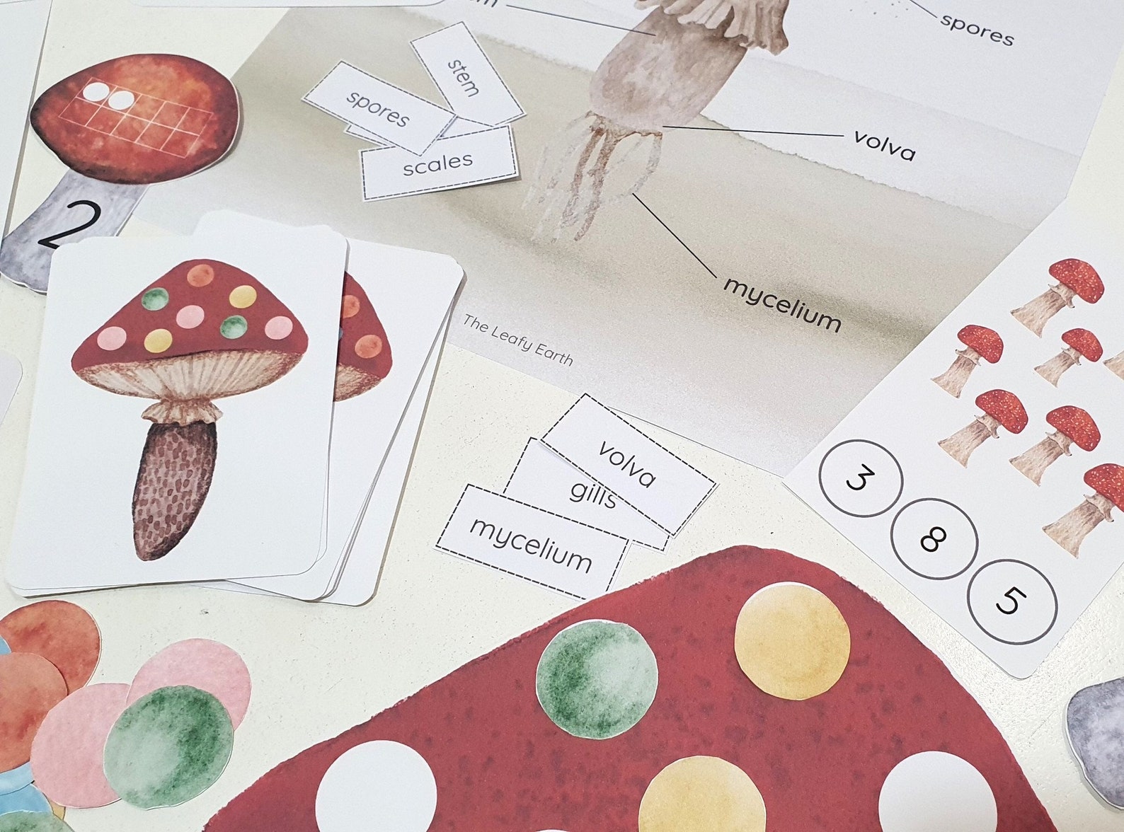 Mushroom Activity Pack, Mushroom Flashcards, Montessori Autumn ...