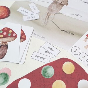 Mushroom Activity Pack, Mushroom Flashcards, Montessori Autumn ...