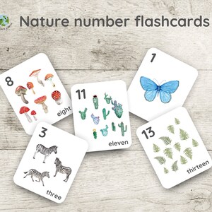Nature Number Flashcards 1-20 Preschool Printables - Etsy