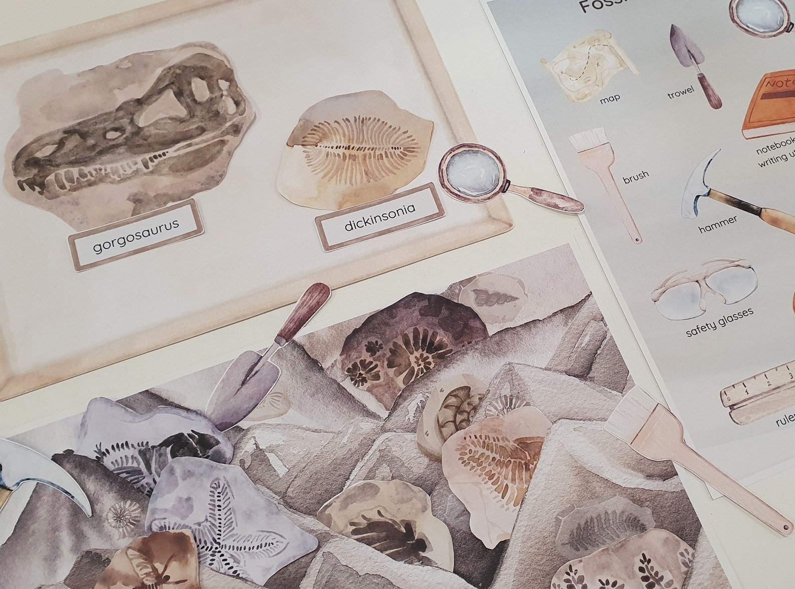 Fossil Hunting Dramatic Playset, Dinosaur Fossil Anatomy, Fossil ...