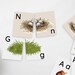 Nature Alphabet Puzzles, Alphabet Flashcards, ABC Flashcards, Nature ...