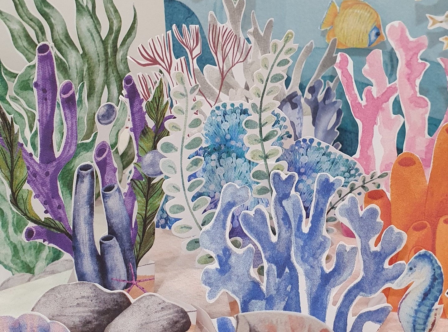 Coral Reef Diorama