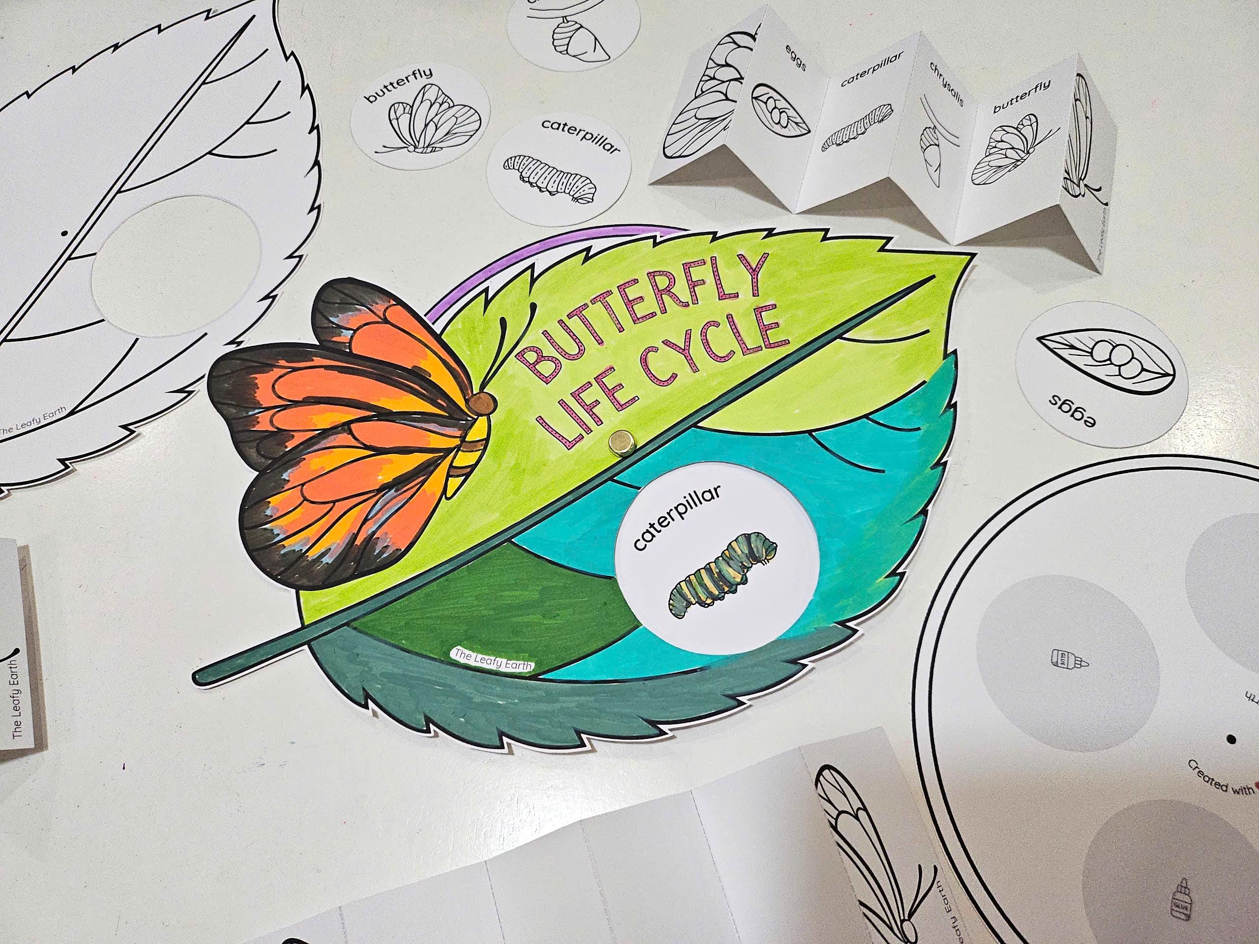 Butterfly Life Cycle Coloring Activity, Wheel and Foldable, Caterpillar ...