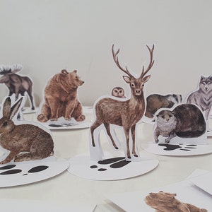 Woodland Animal Track Matching Game, Animal Tracks Cards, Forest Animal ...