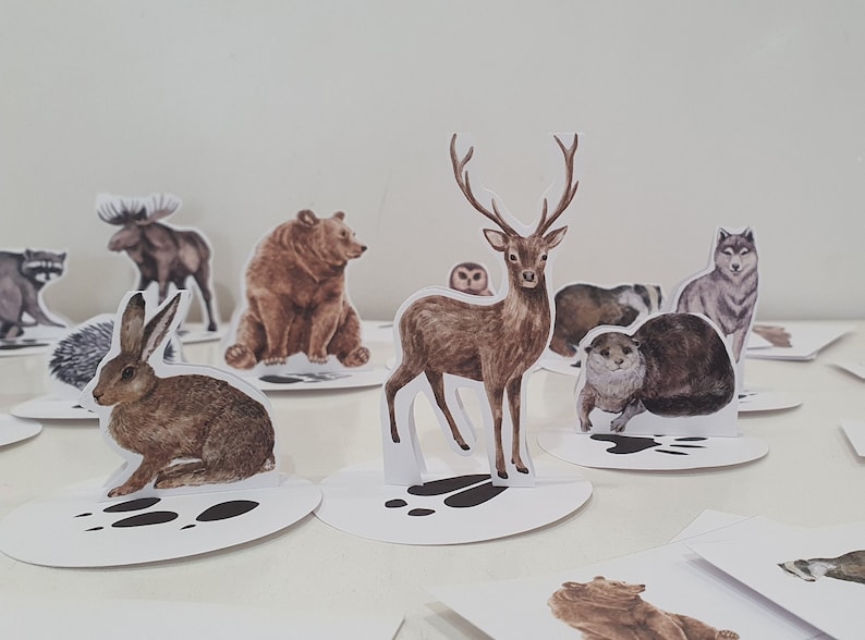 Woodland Animal Track Matching Game, Animal Tracks Cards, Forest Animal ...