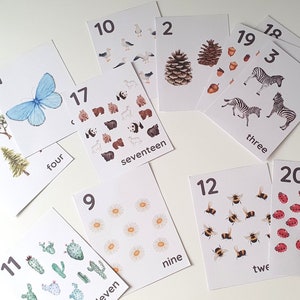 Nature Number Flashcards 1-20, Preschool Printables, Homeschool ...