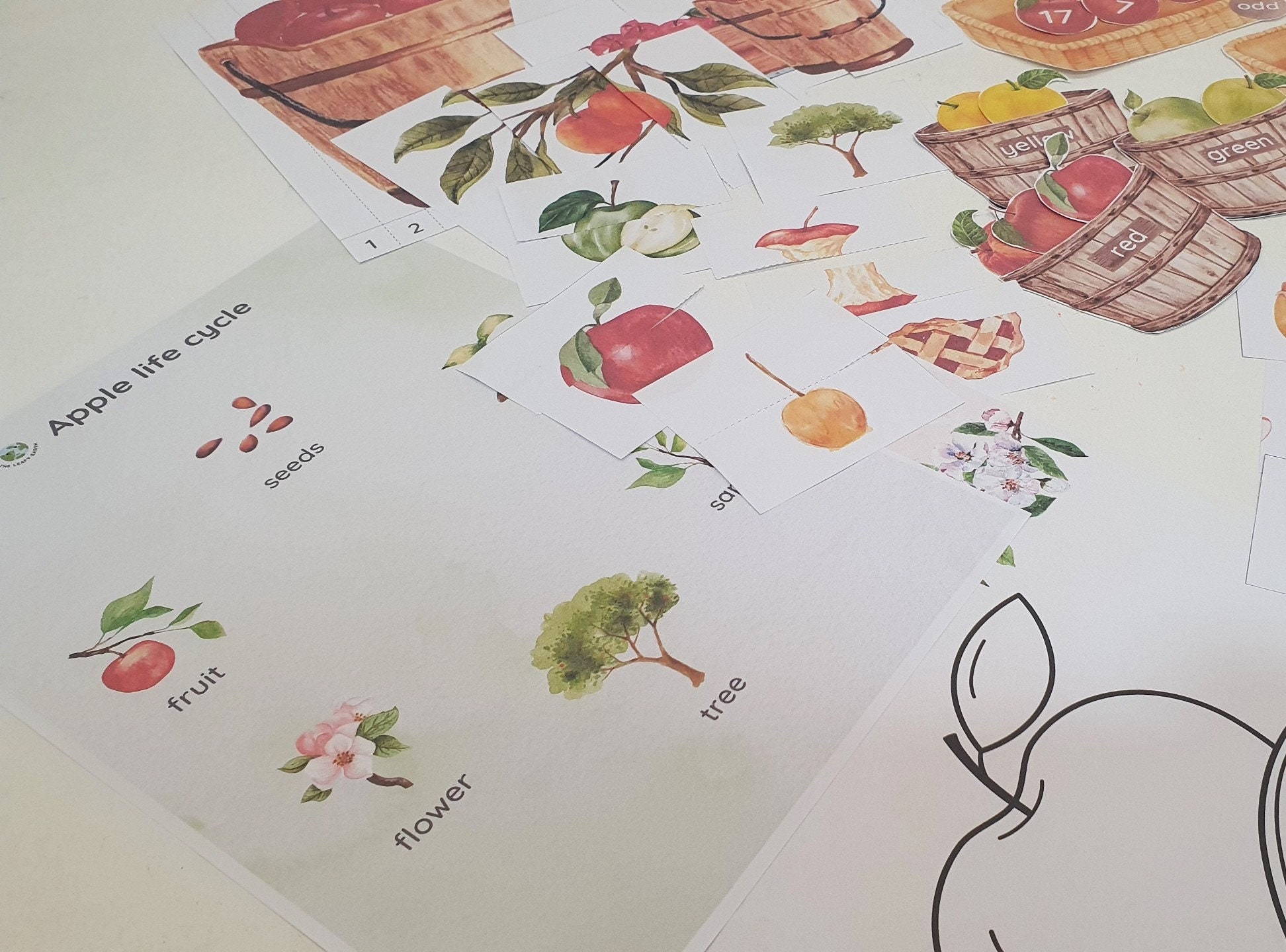 Apple Activity Pack, Apple Unit Study, Apple Morning Basket, Early Math ...