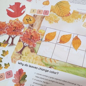 Autumn Leaf Activity Pack, Leaf Unit Study, Autumn Color Sorting, Leaf ...