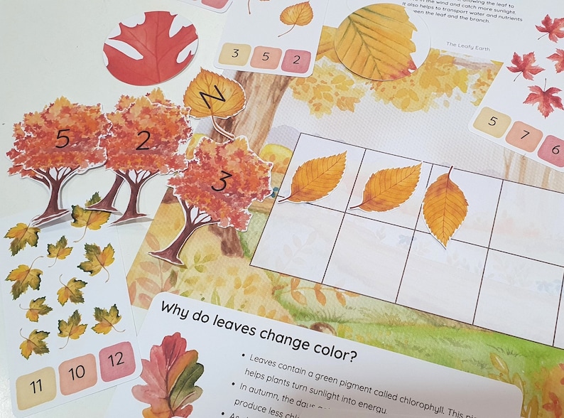 Autumn Leaf Activity Pack, Leaf Unit Study, Autumn Color Sorting, Leaf ...