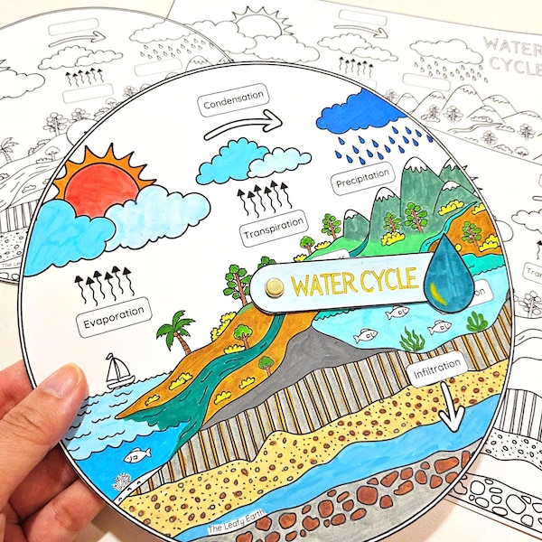 Water Cycle Poster - Etsy