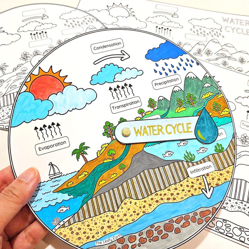 Water Cycle Activity Page - Etsy