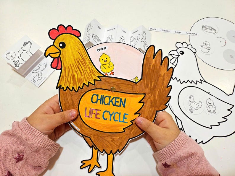 Chicken Life Cycle Coloring Activity, Wheel and Foldable, DIY Kids ...