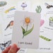 Fairy Potion Mud Kitchen Recipe Cards, Magic Fairy Potion Cards ...