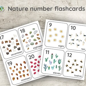 Nature Number Flashcards 1-20 Preschool Printables - Etsy